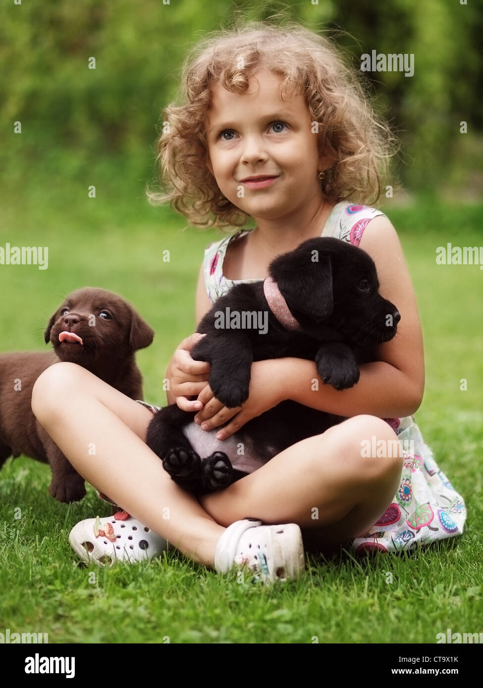 Little girl with puppy Stock Photo - Alamy