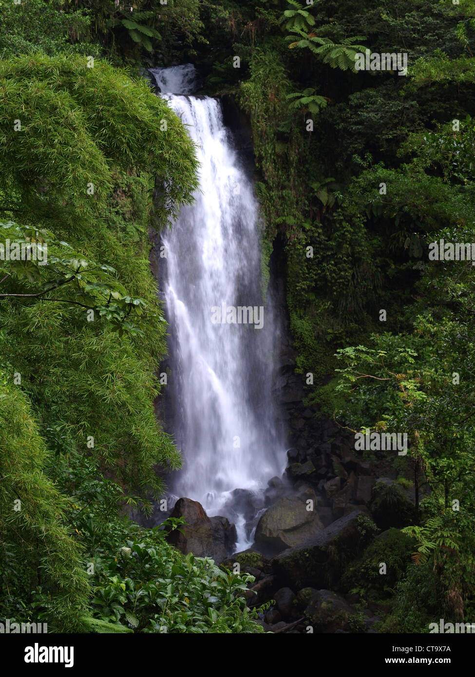 Trafalgar Falls