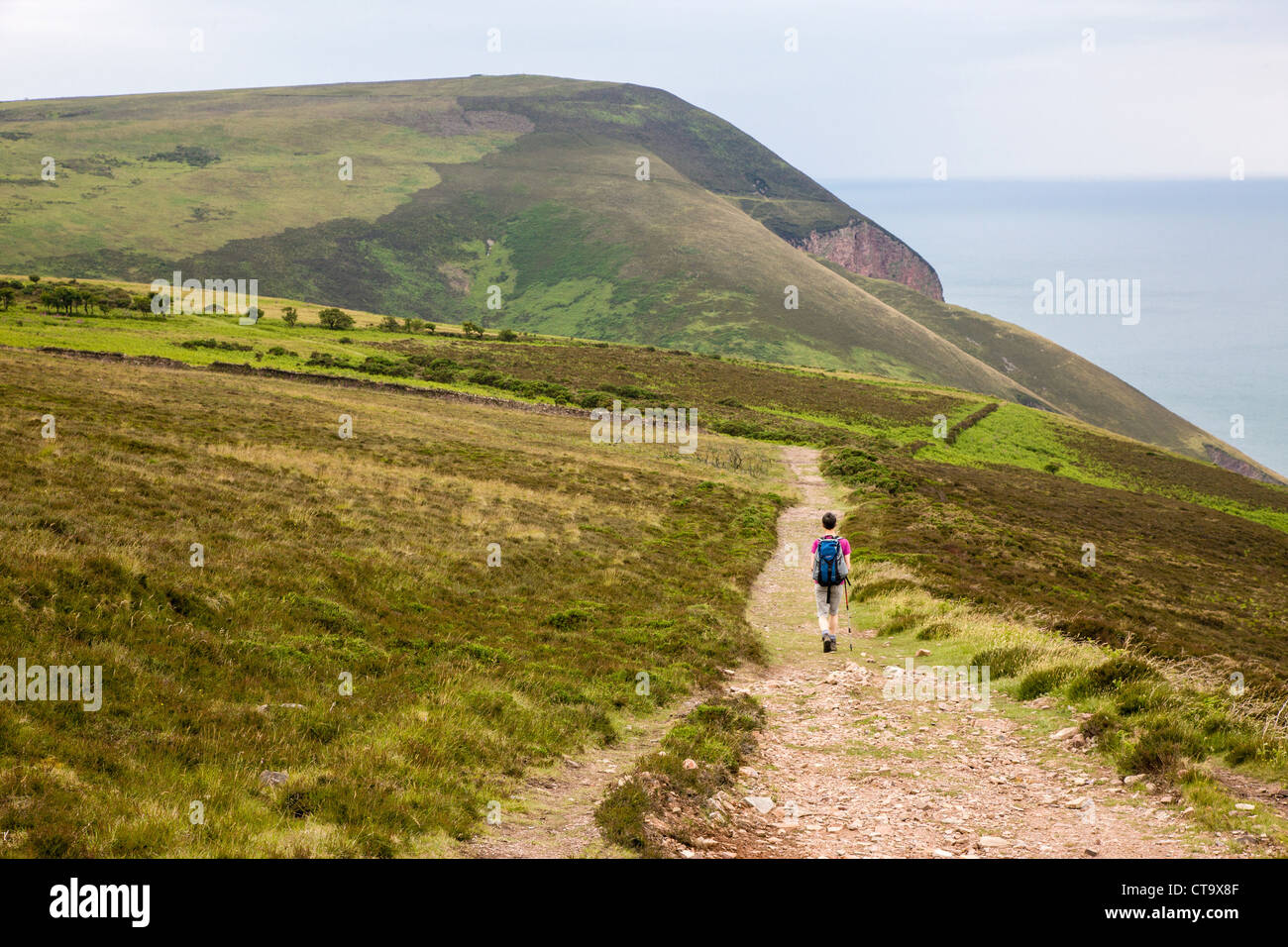 A female walker approaching Great Hangman near Coombe Martin the ...
