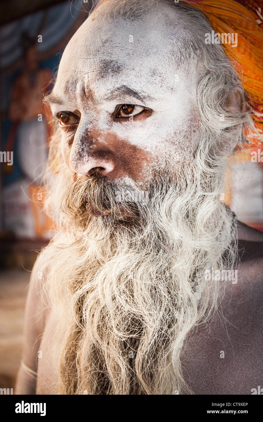 Naga sadhu hi-res stock photography and images - Alamy