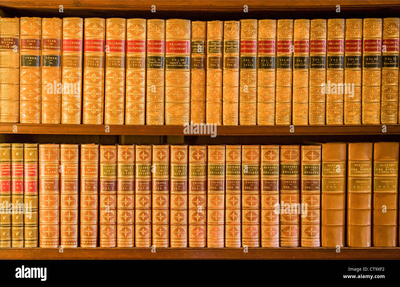 Spinw hi-res stock photography and images - Alamy