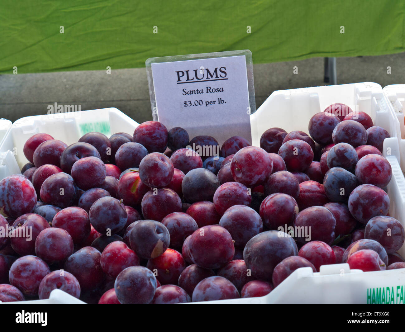 Santa rosa plums hi-res stock photography and images - Alamy
