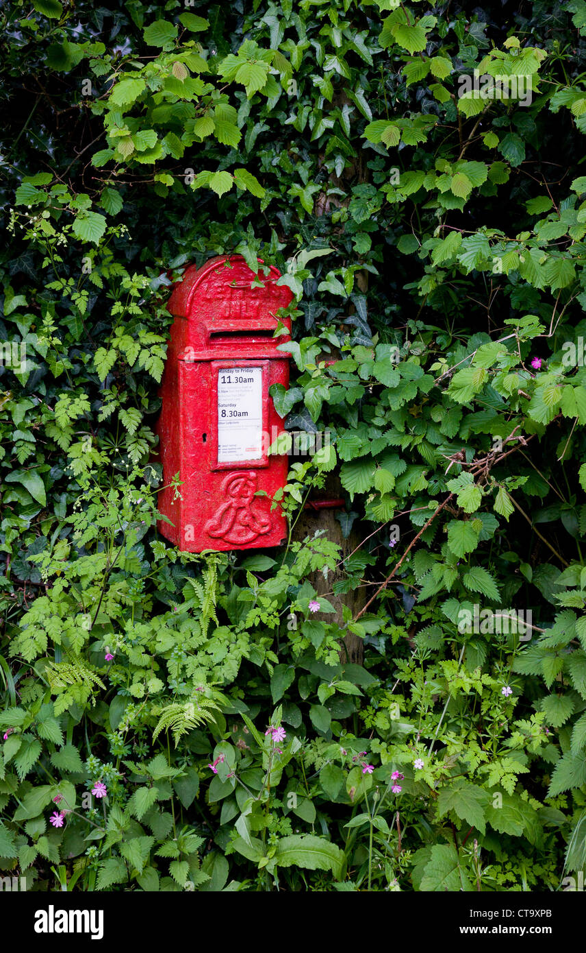 Edwardian post box for letters only with King Edward VII symbol in a ...