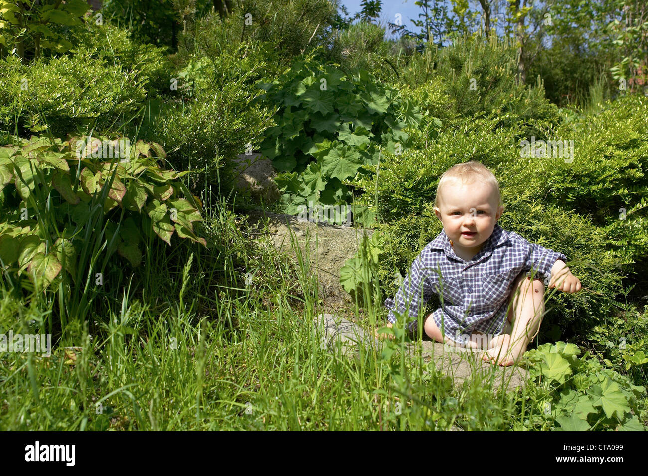 Baby diaper in the summer in the garden Stock Photo - Alamy
