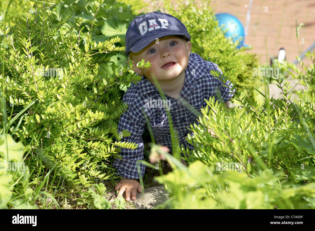 Baby diaper in the summer in the garden Stock Photo - Alamy