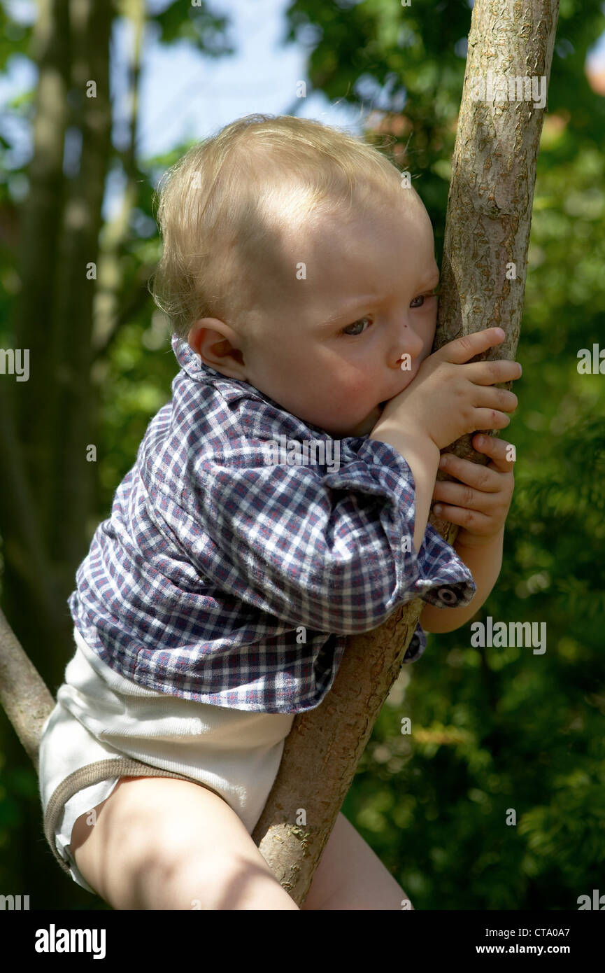 Baby on a tree in the garden during summer Stock Photo - Alamy