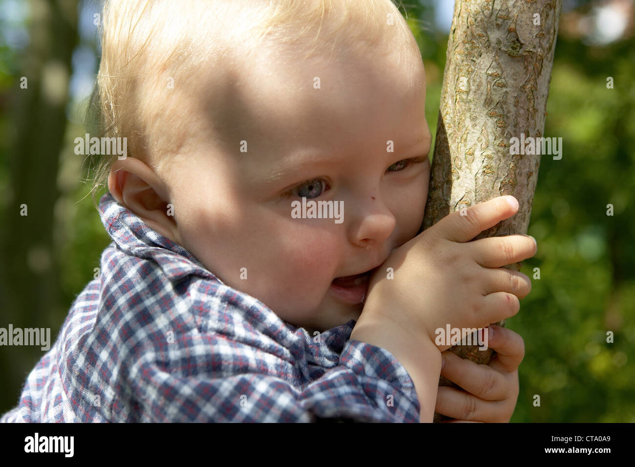 Baby on a tree in the garden during summer Stock Photo - Alamy