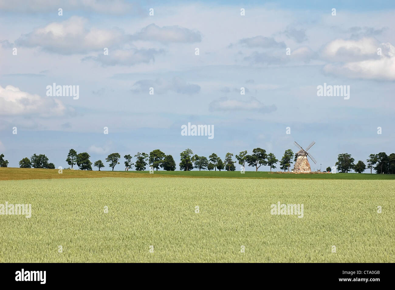 Windmill in wheat field Stock Photo - Alamy