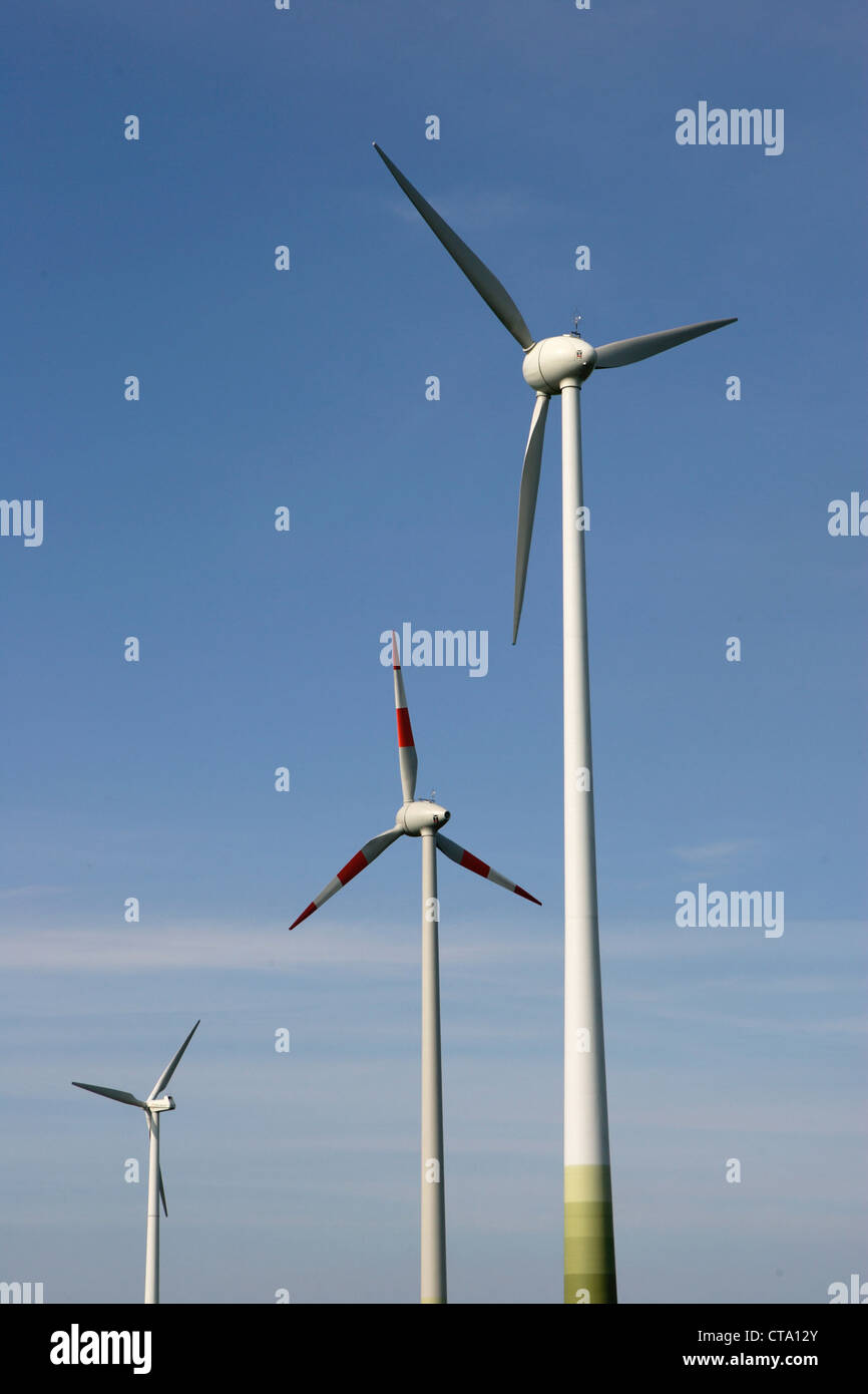 Raeder plant hi-res stock photography and images - Alamy