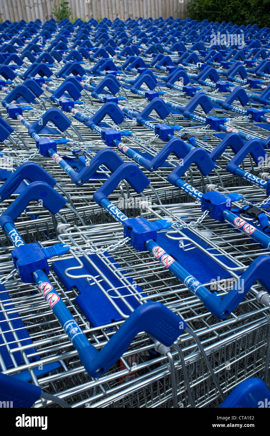 Shopping Trollies at Tesco Stock Photo - Alamy