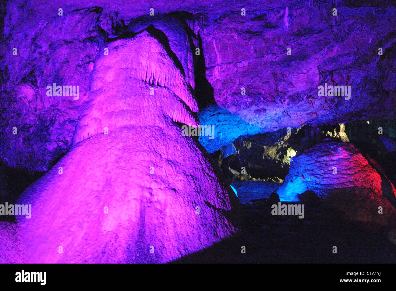 Stalagmites, Wookey Hole caves, Somerset, UK Stock Photo - Alamy