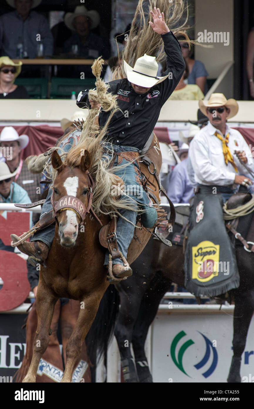 Cowboy saddle bronc ride hi-res stock photography and images - Alamy