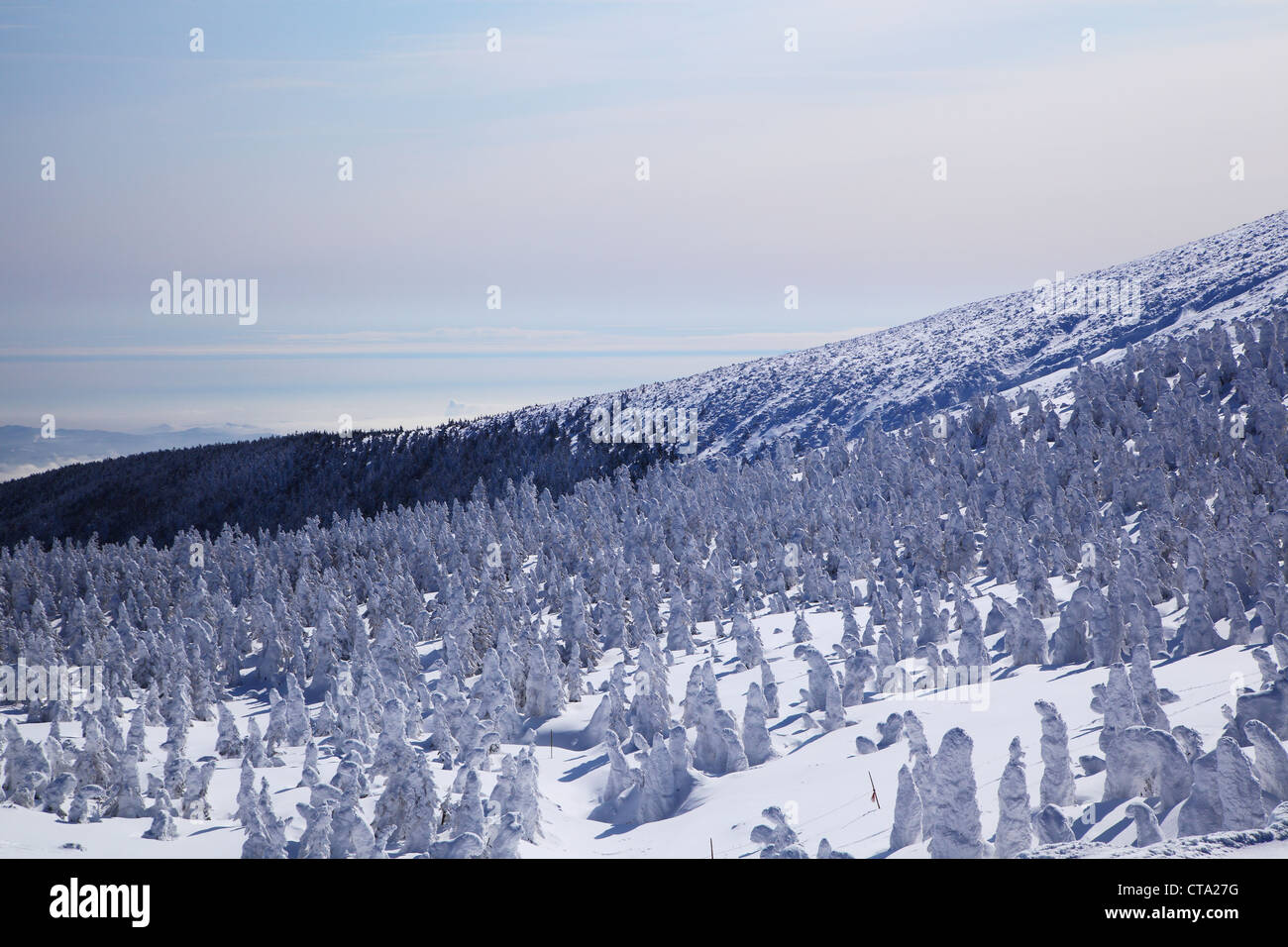 Soft rime on mount Zao, Yamagata Tohoku Japan Stock Photo - Alamy