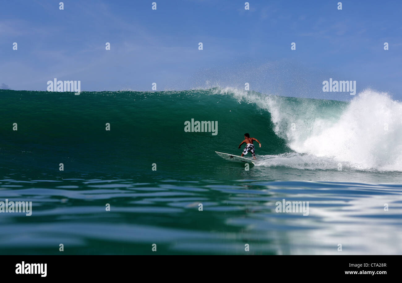 Local surfer riding a wave at the famous surfing break in Lagundri Bay ...