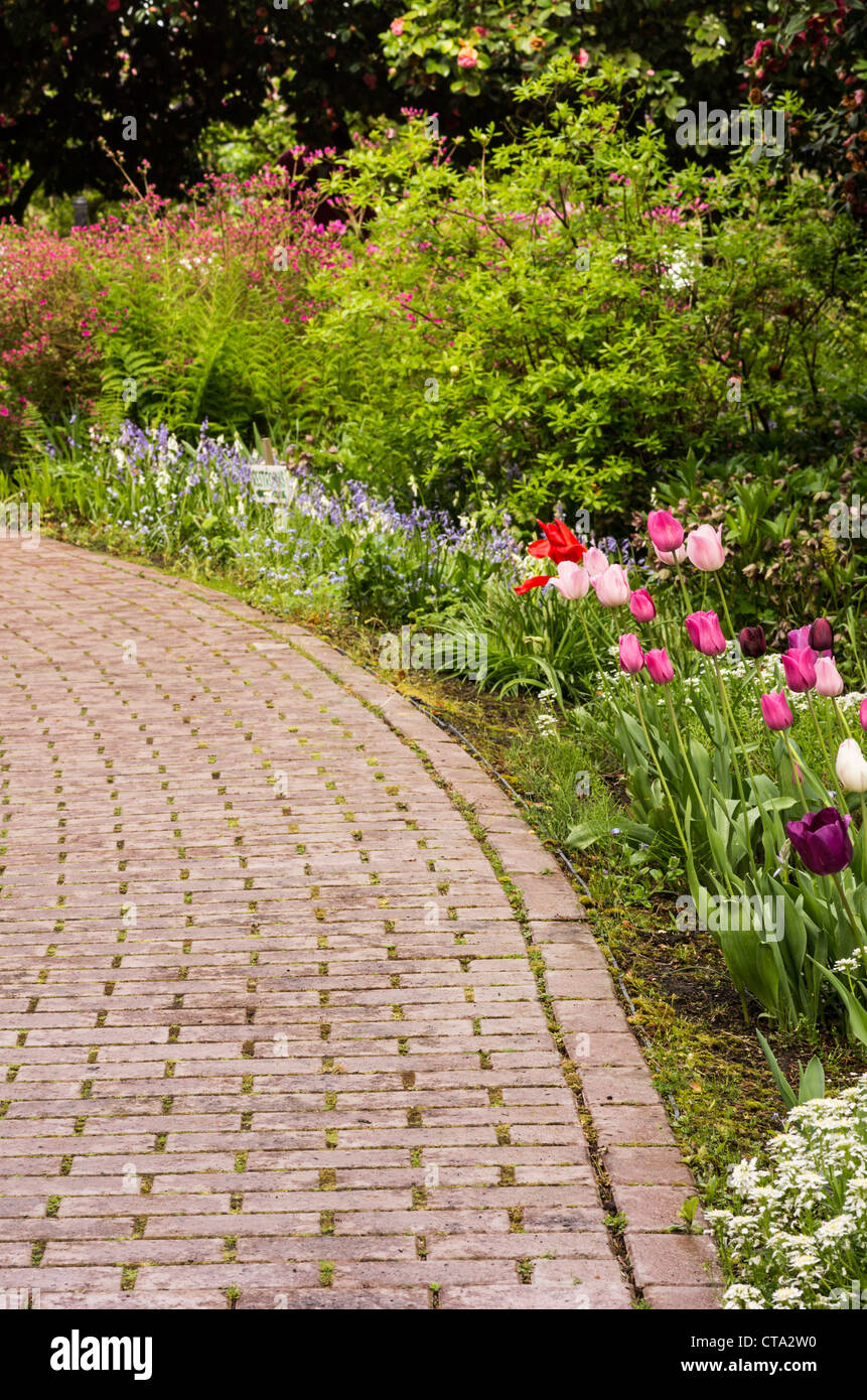 Garden through the seasons hi-res stock photography and images - Alamy