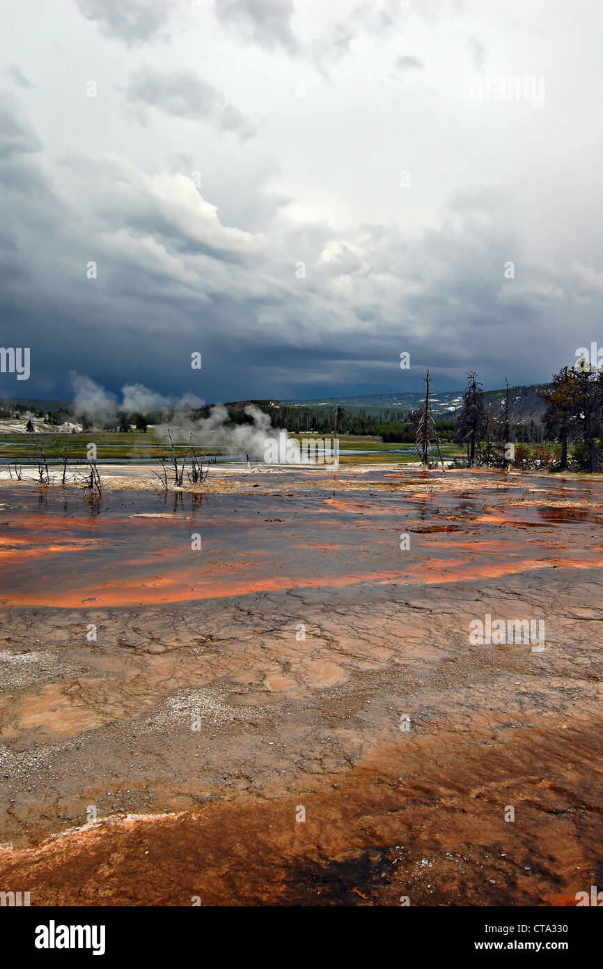 Biscuit Basin, Upper Geyser Basin, Yellowstone National Park Stock ...