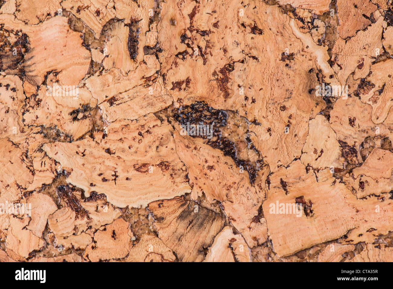 Cork surf hi-res stock photography and images - Alamy