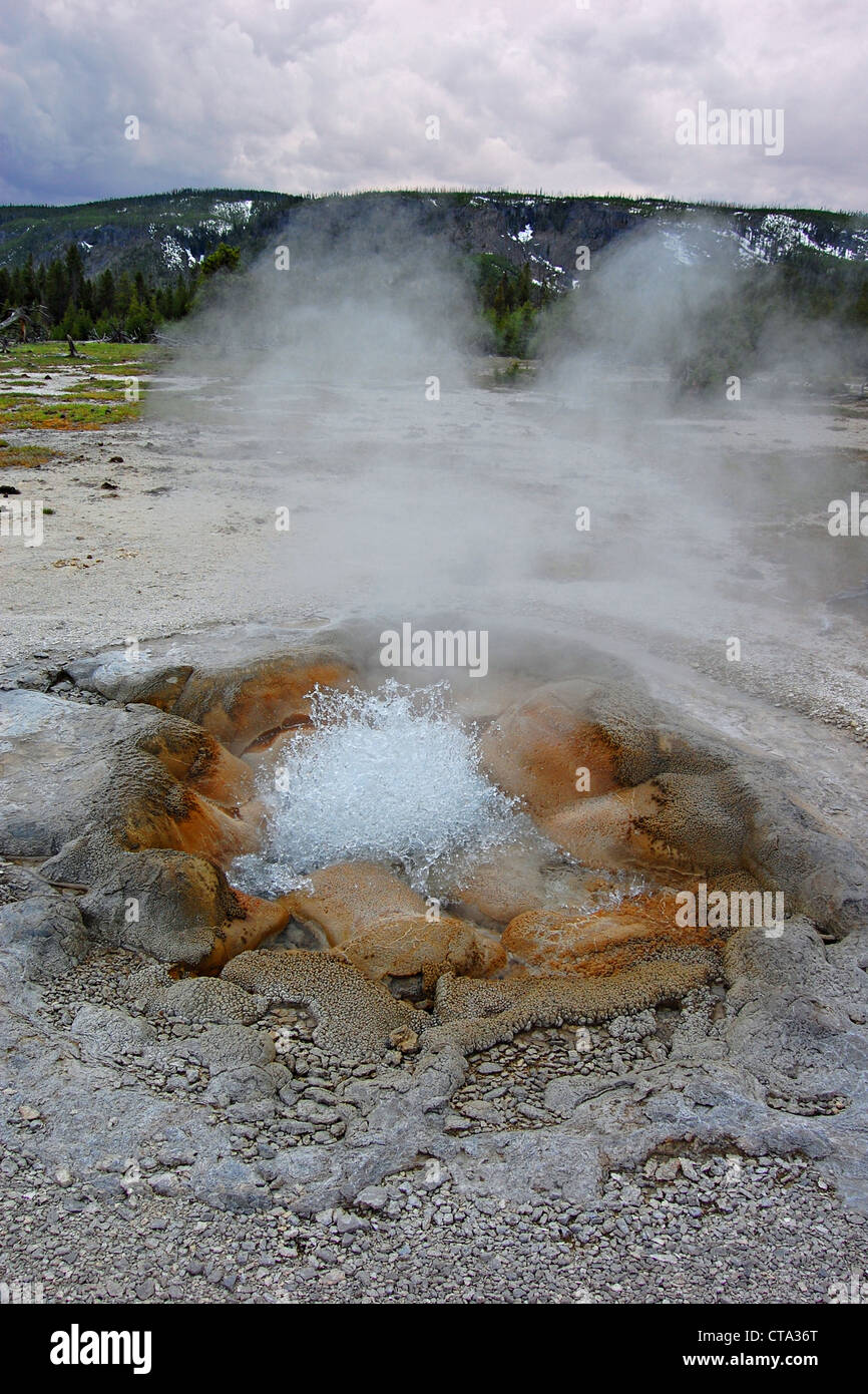 Shell Spring, Biscuit Basin, Yellowstone National Park Stock Photo - Alamy