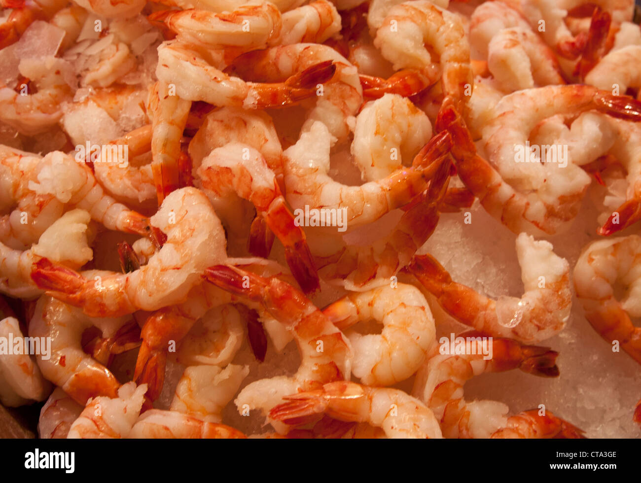 Chilled fish hi-res stock photography and images - Alamy
