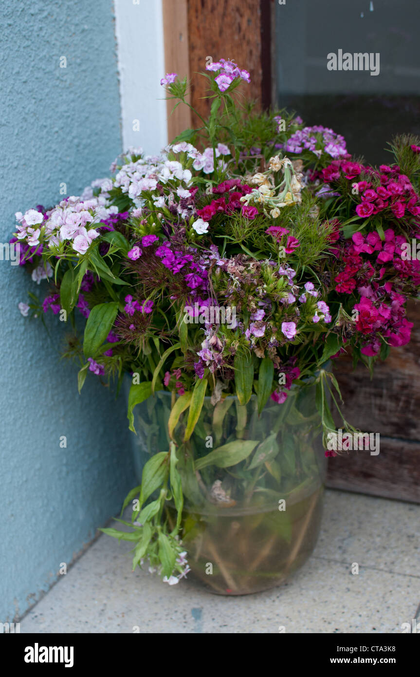 Colourful bunch of flowers hi-res stock photography and images - Alamy