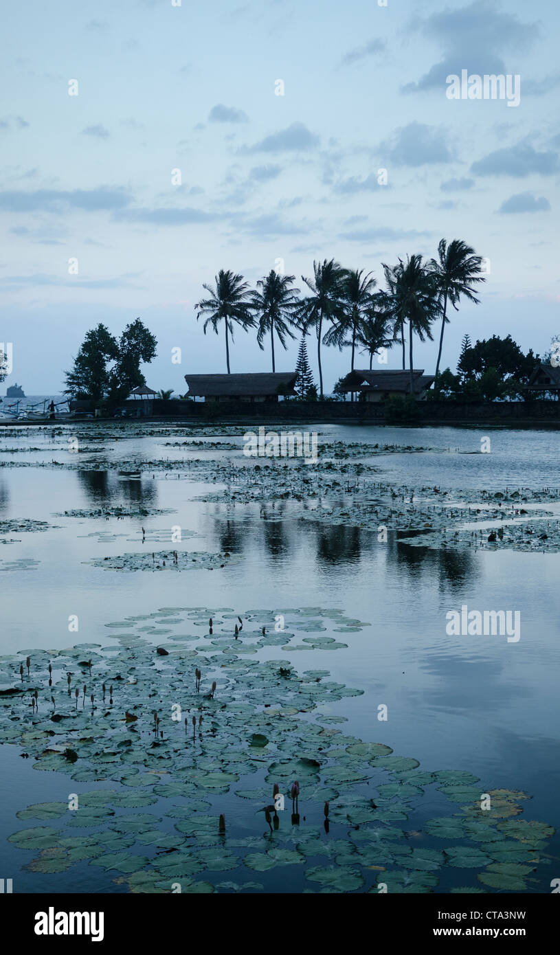 Bali pond hi-res stock photography and images - Alamy