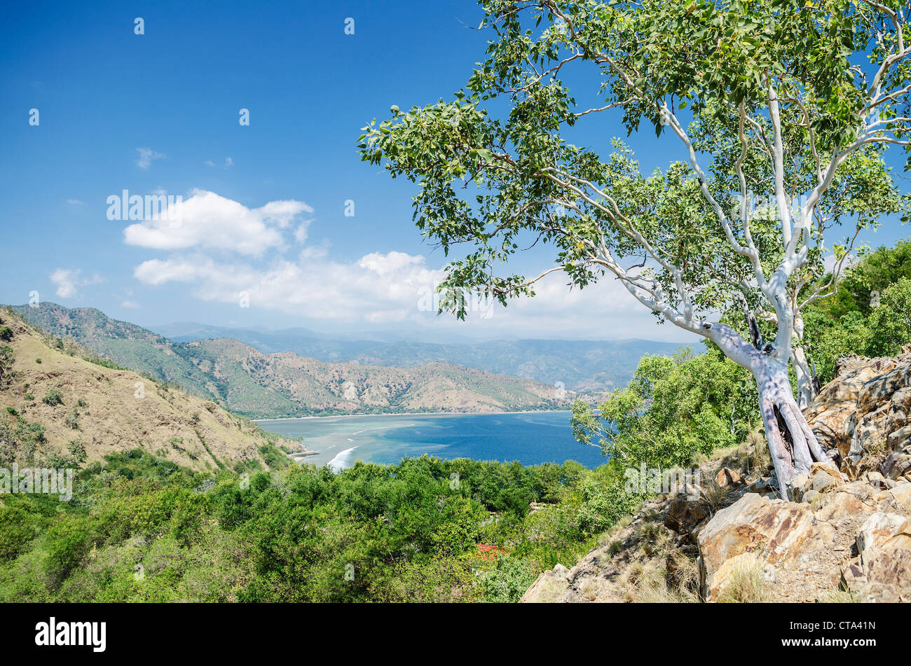 Timor Leste High Resolution Stock Photography and Images - Alamy