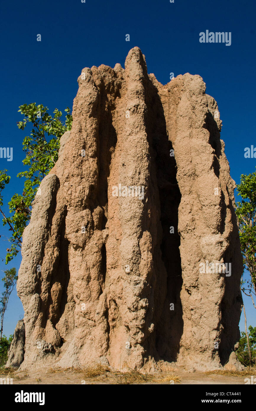 Termite mount northern territory hi-res stock photography and images ...