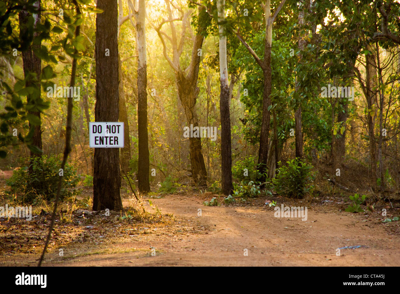 Warning sign in a forest hi-res stock photography and images - Alamy