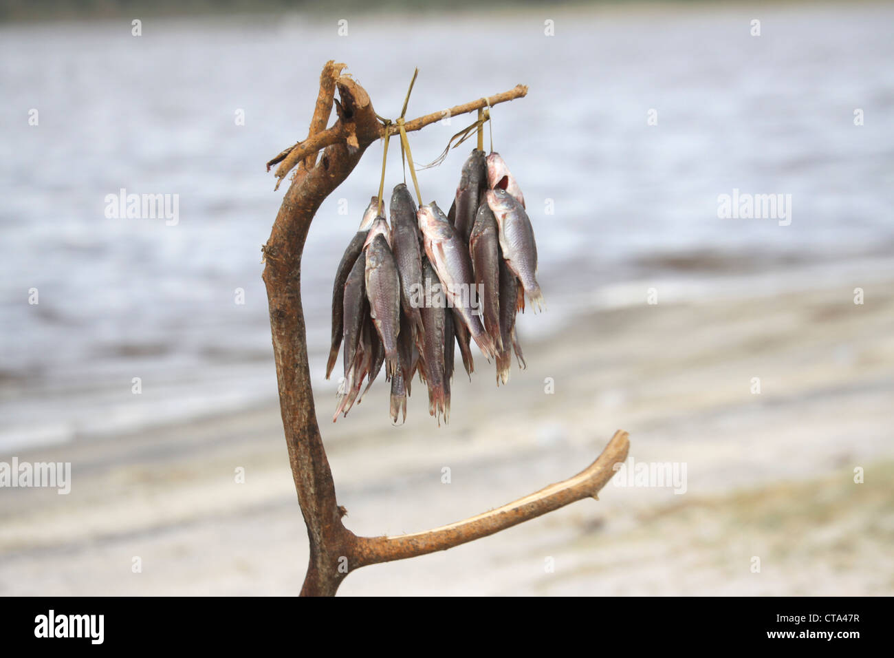 Africa, Tanzania, Lake Eyasi National Park Fishing in the lake The ...