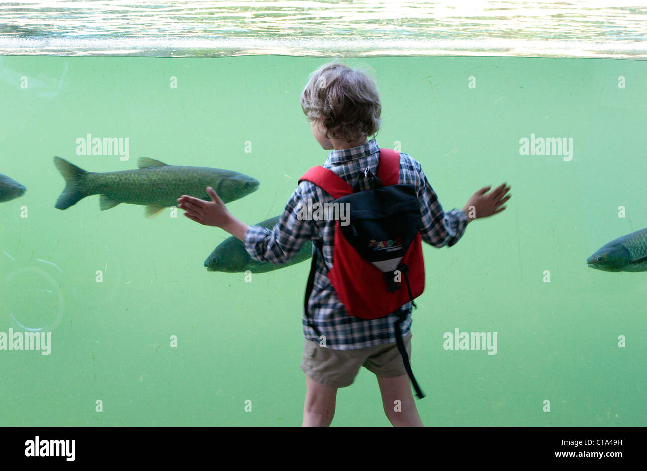 Boy in front of a fish tank Stock Photo - Alamy