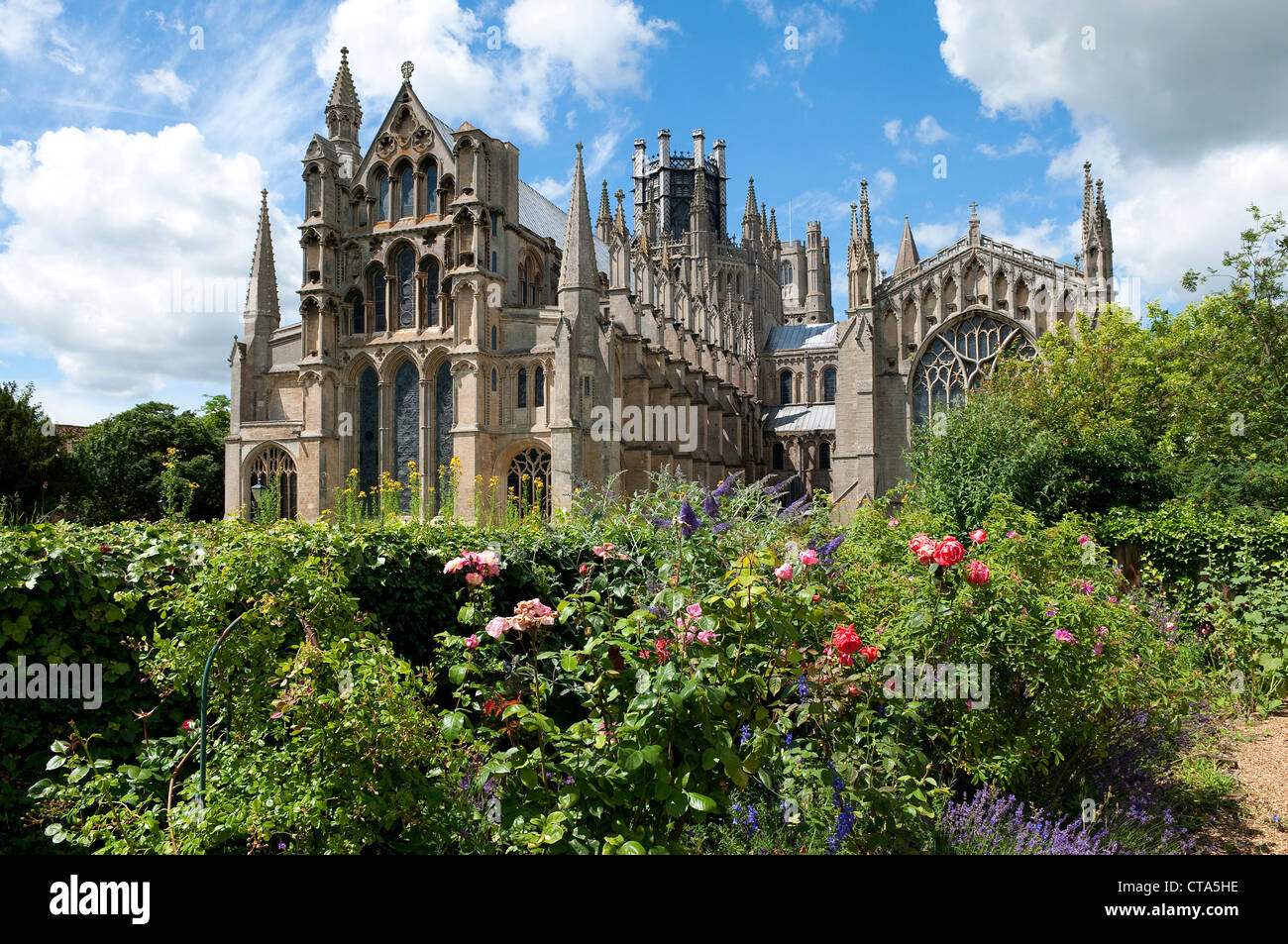 Ely cathedral gardens hi-res stock photography and images - Alamy