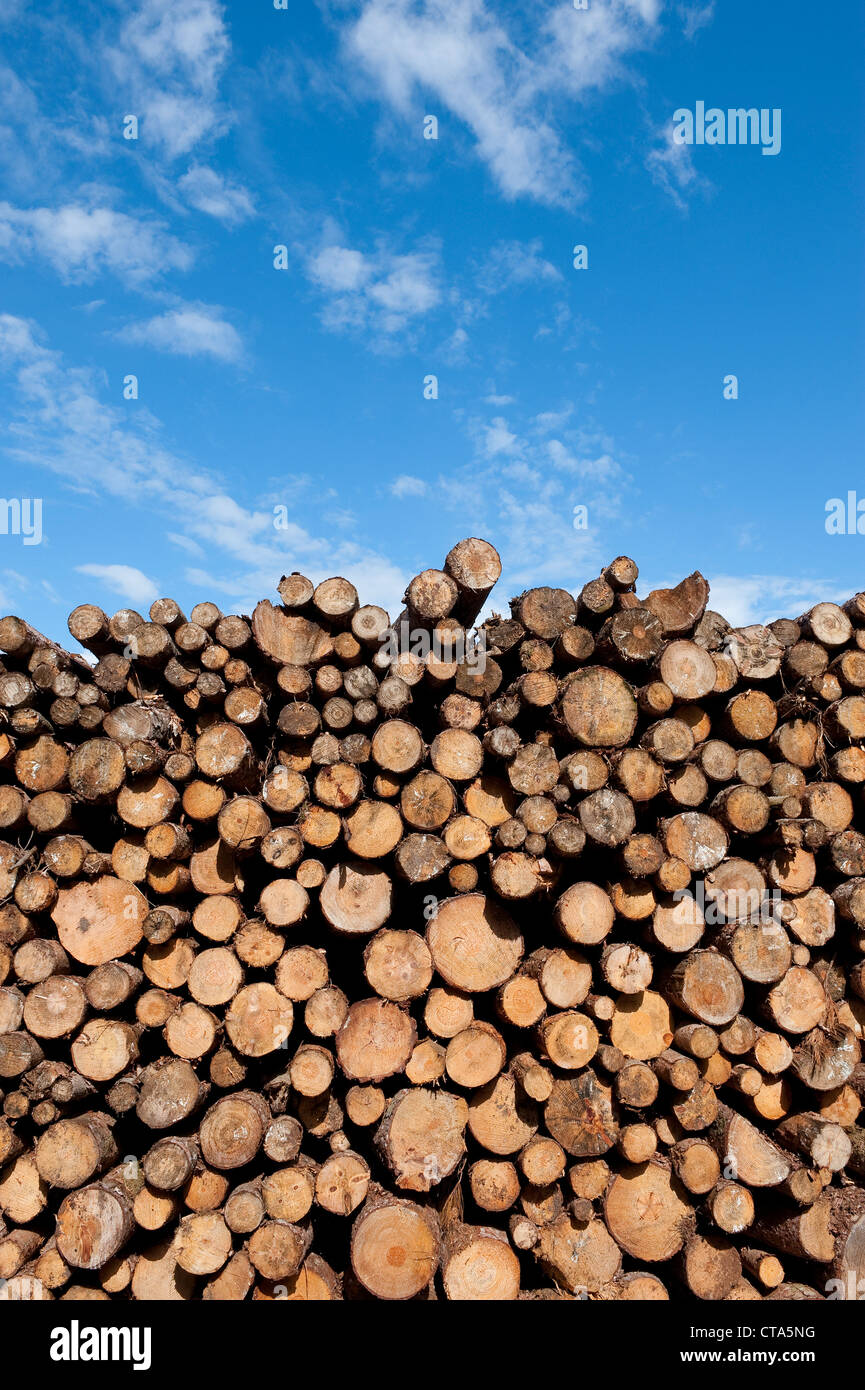 Sawn timber pile hi-res stock photography and images - Alamy