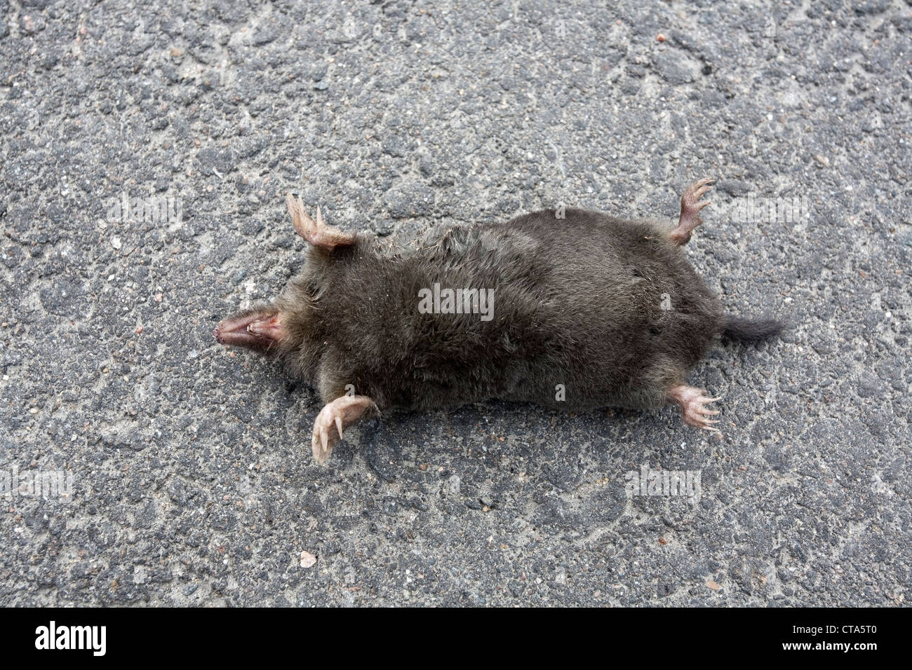Dead ground hi-res stock photography and images - Alamy