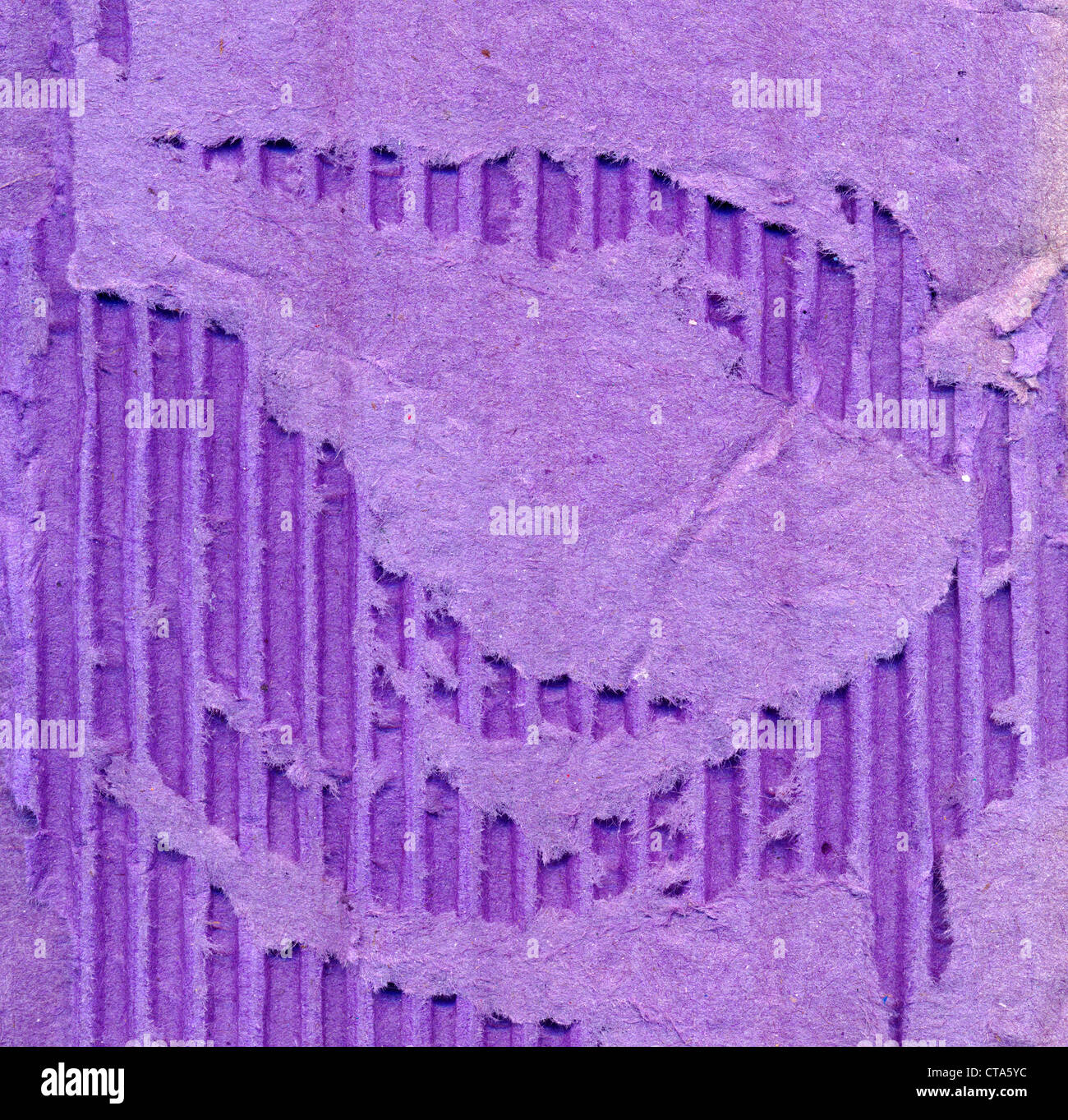 ripped old violet paper background and texture Stock Photo - Alamy