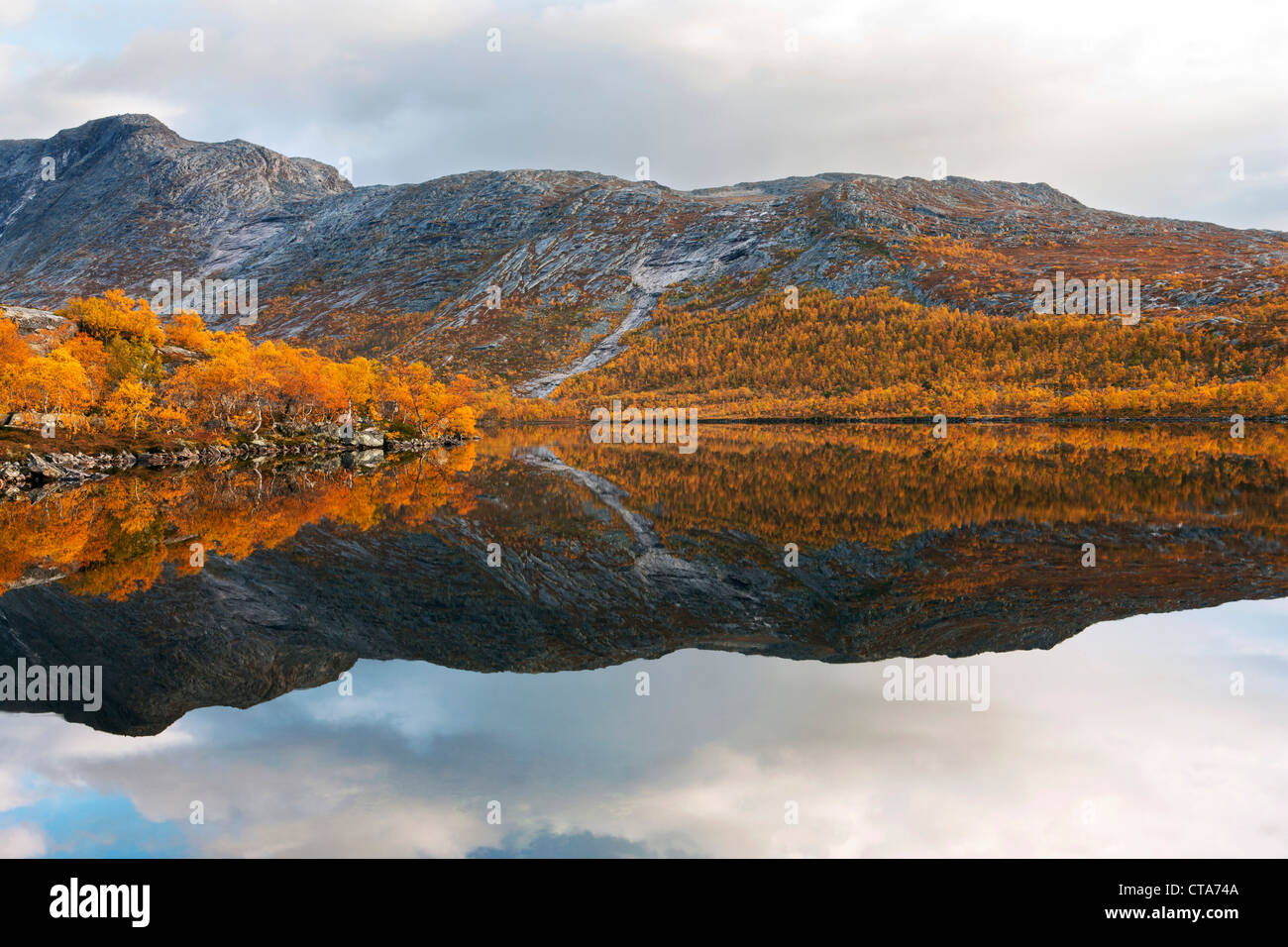 Rocky landscape with birch trees at a lake north of the arctic circle ...