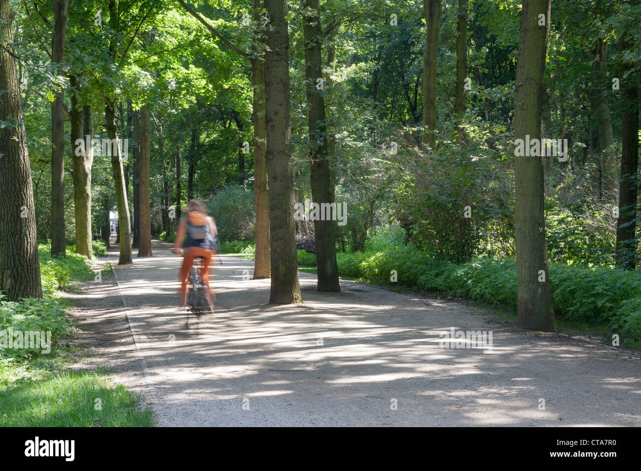 Tiergarten, Berlin Germany Stock Photo - Alamy