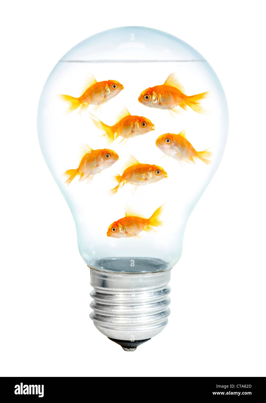 Gold small fish in light bulb on a white background Stock Photo - Alamy