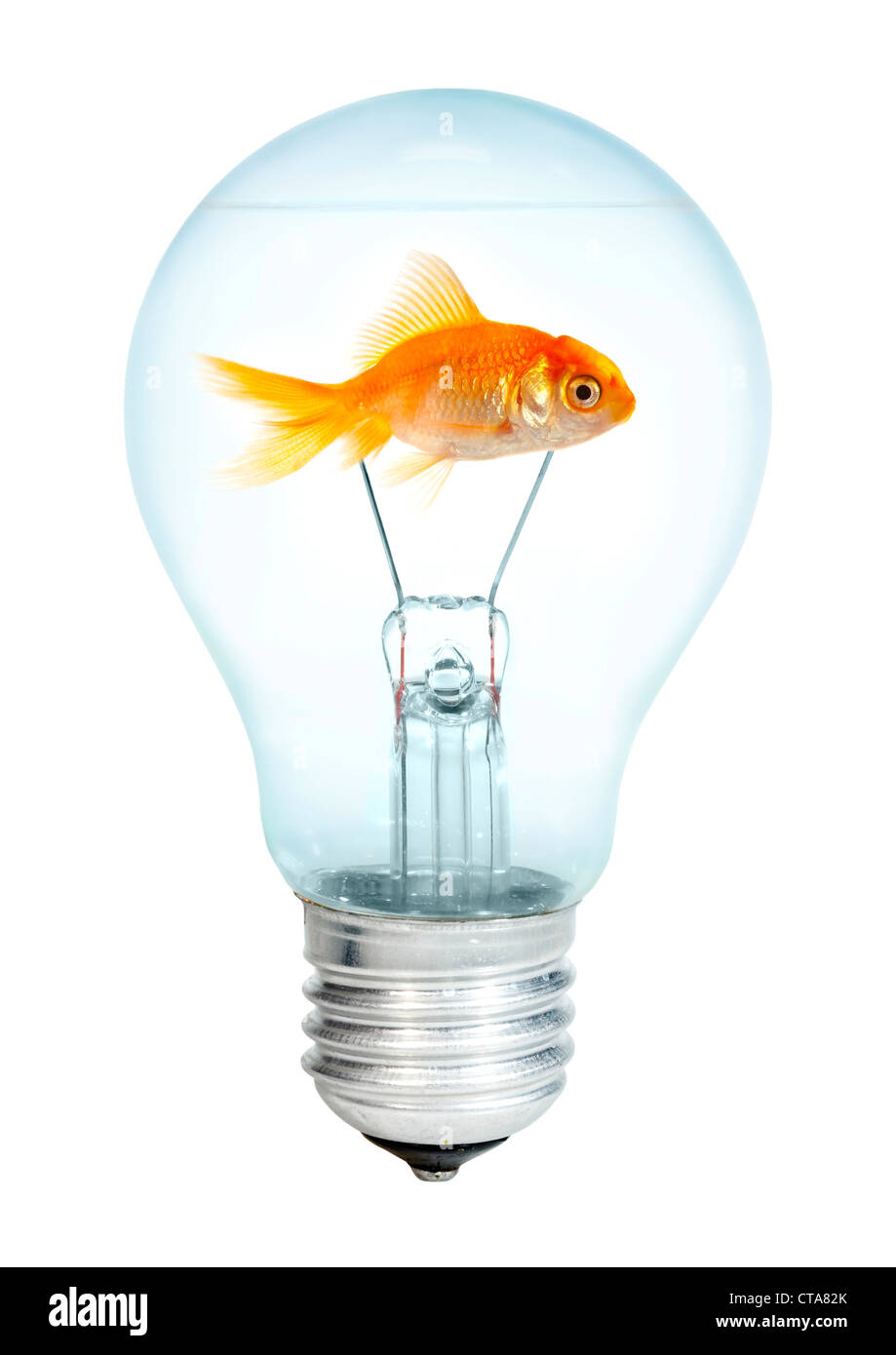 Gold small fish in light bulb on a white background Stock Photo - Alamy