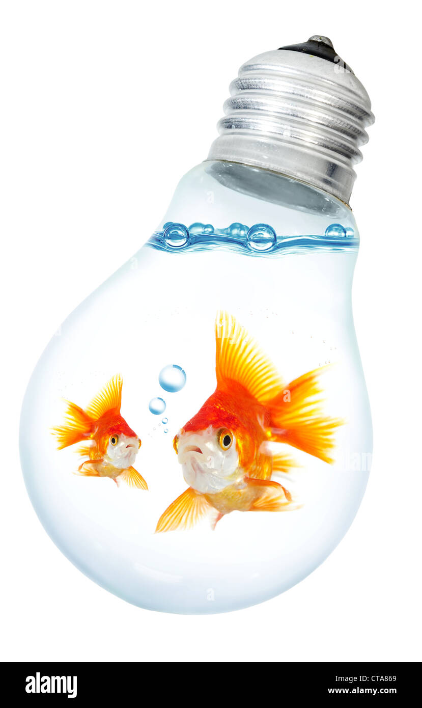 Gold small fish in light bulb Stock Photo - Alamy