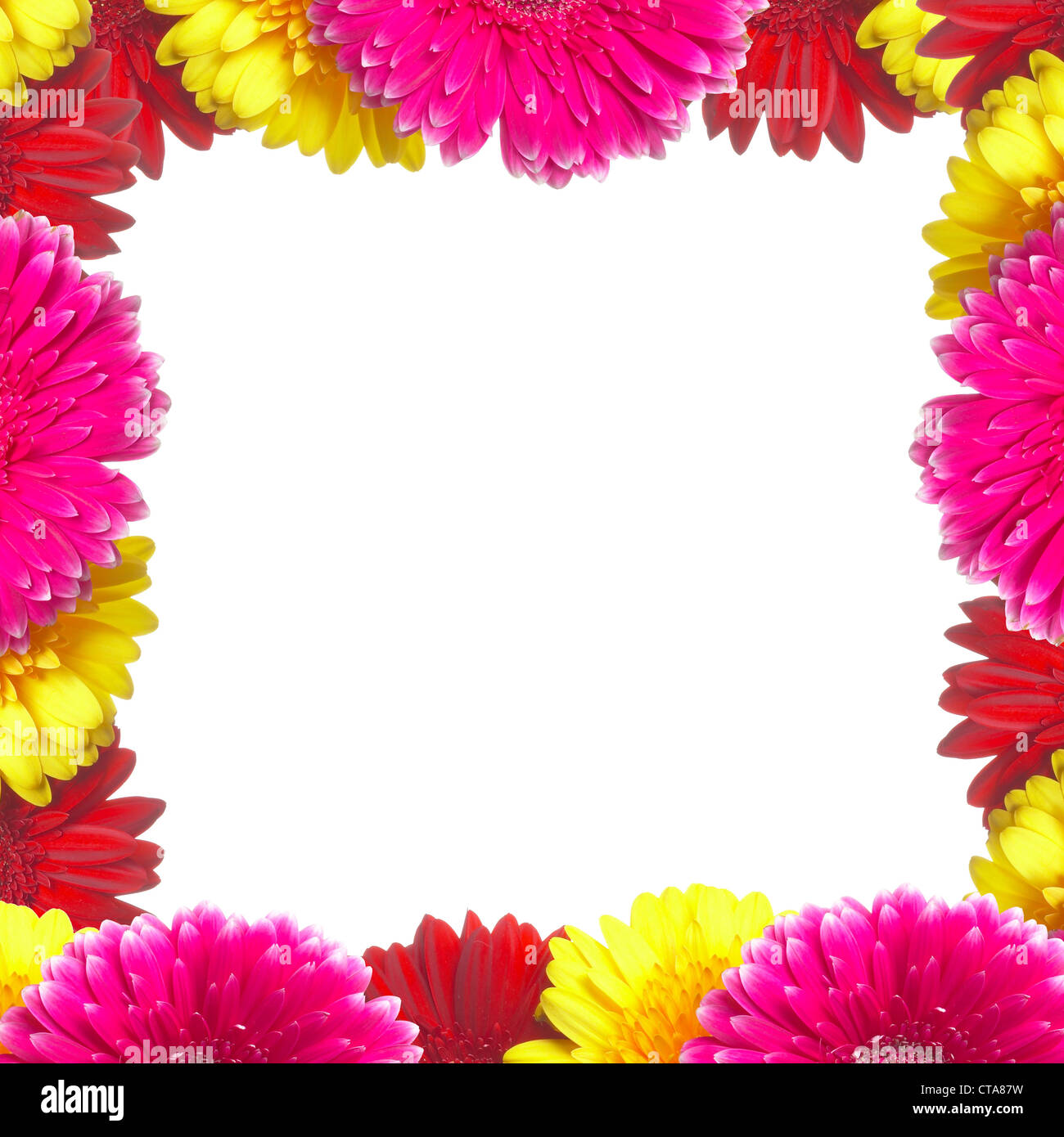 Framework from colors gerbers on a white background Stock Photo - Alamy