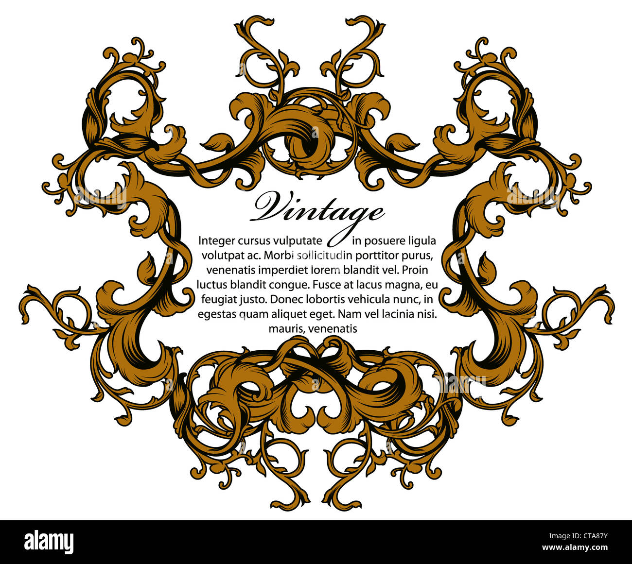 baroque floral ornament vector illustration Stock Photo - Alamy