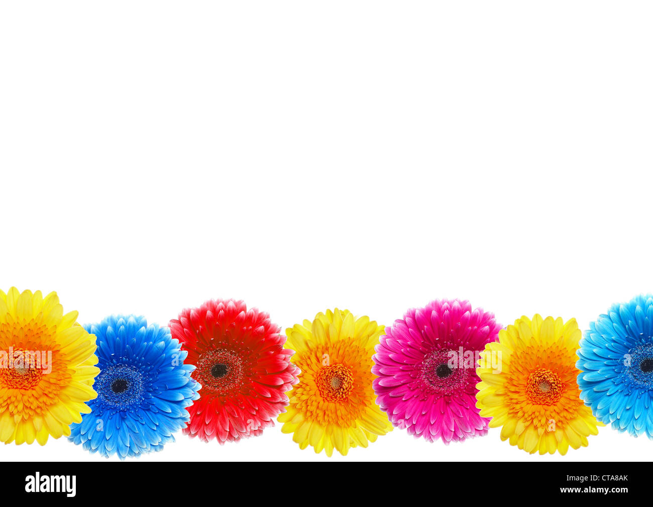 Framework from colors gerbers on a white background Stock Photo - Alamy