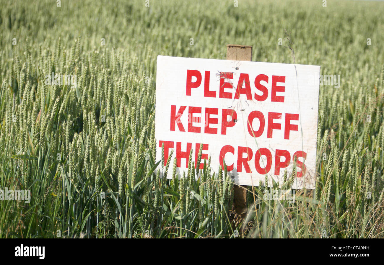 Please keep off the crops sign Stock Photo - Alamy