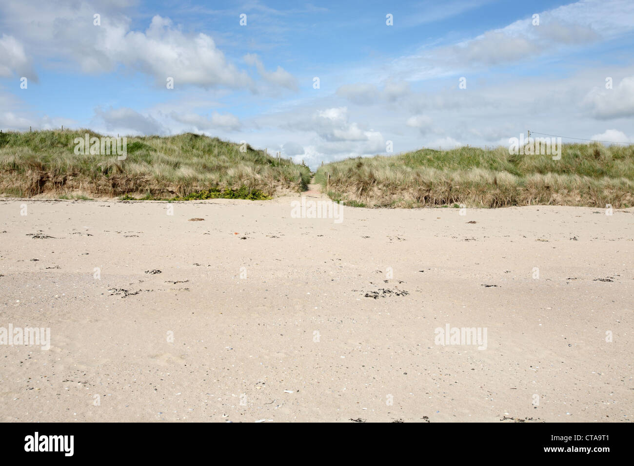 Portraine beach Ireland Stock Photo - Alamy