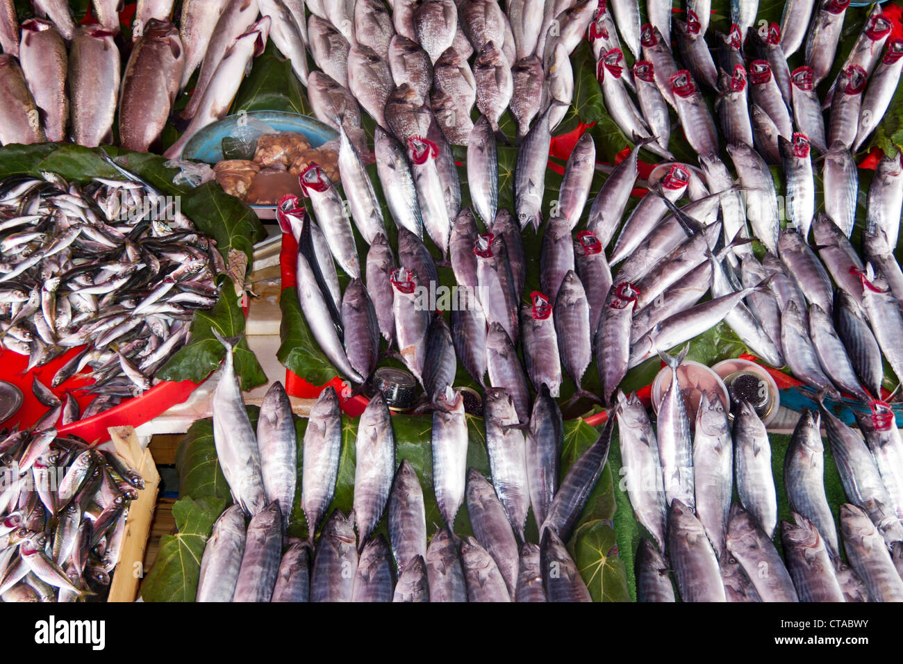Fish market at Galata bridge, Istanbul, Turkey, Europe Stock Photo - Alamy