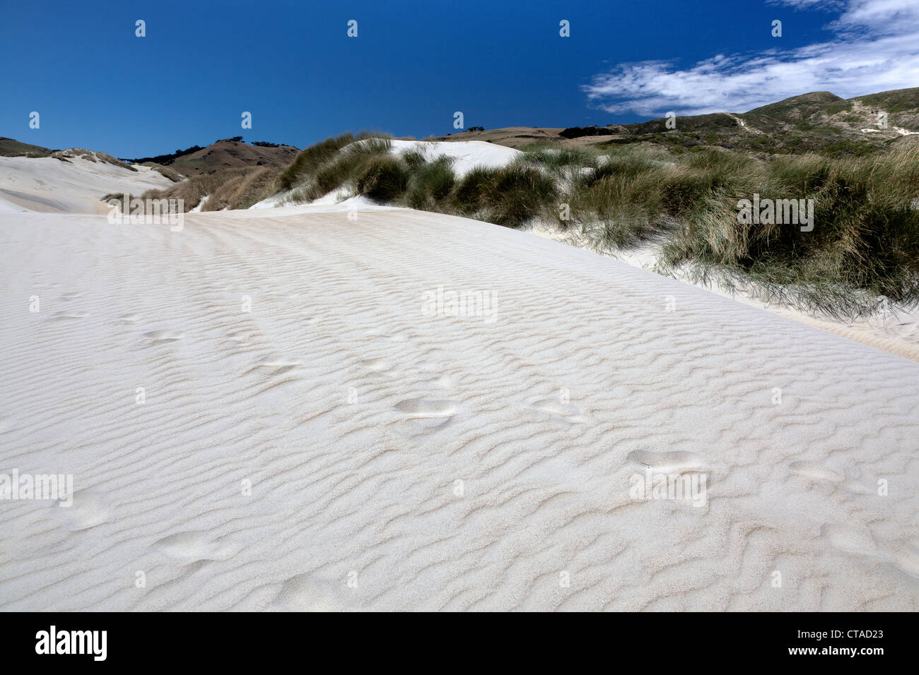 Sandfly beach hi-res stock photography and images - Alamy