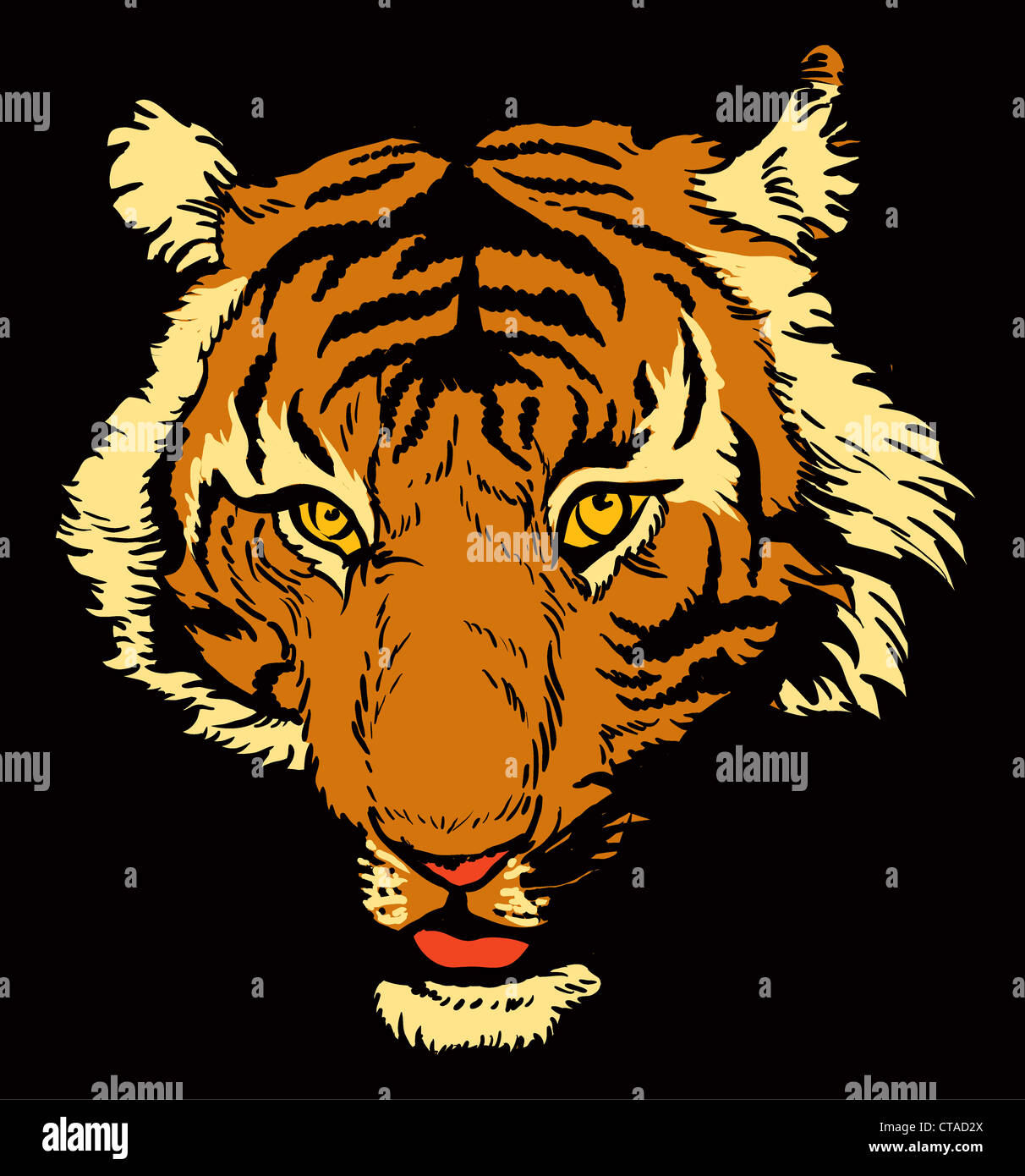 vector t-shirt design with raging tiger Stock Photo - Alamy