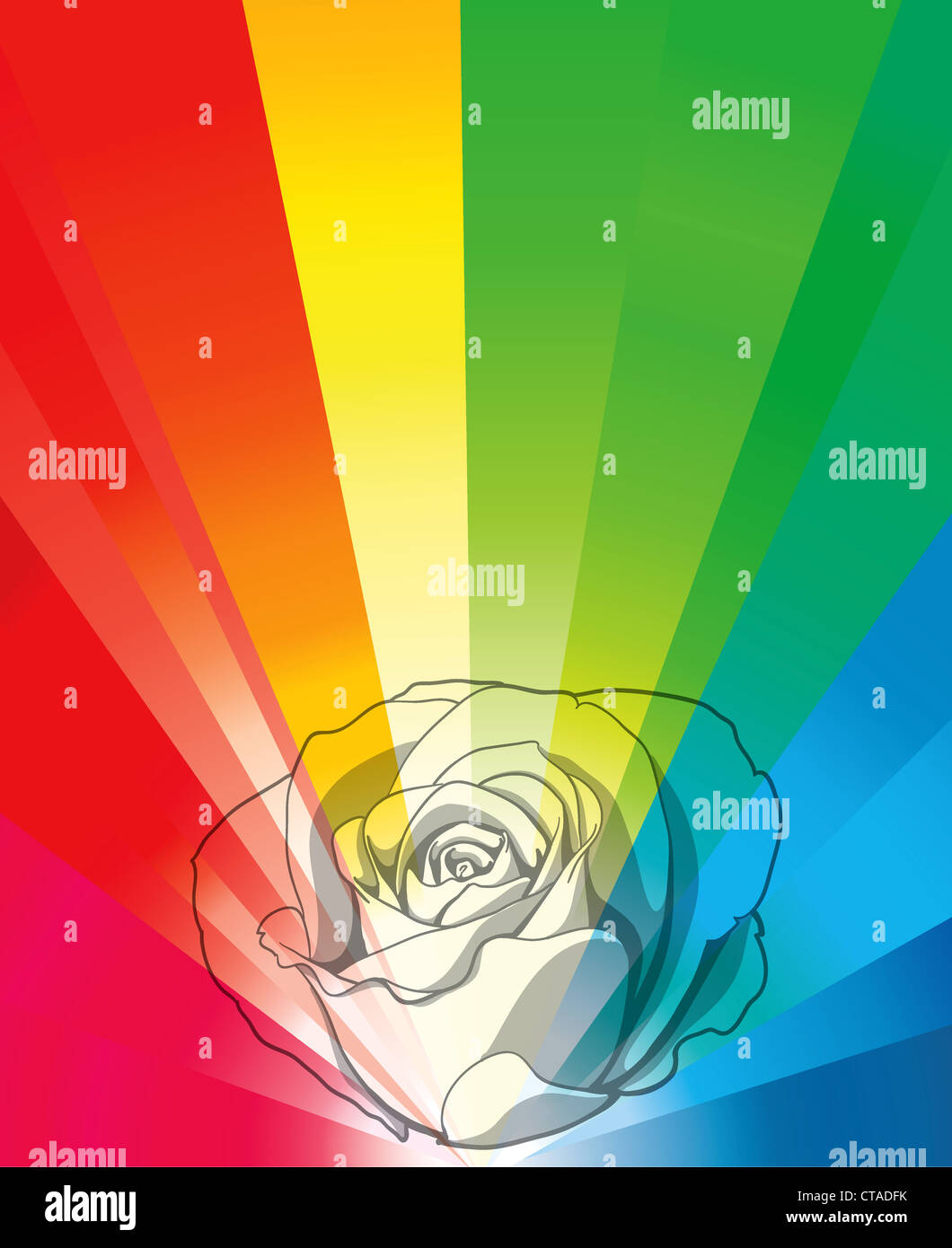 flower with rays vector illustration Stock Photo - Alamy