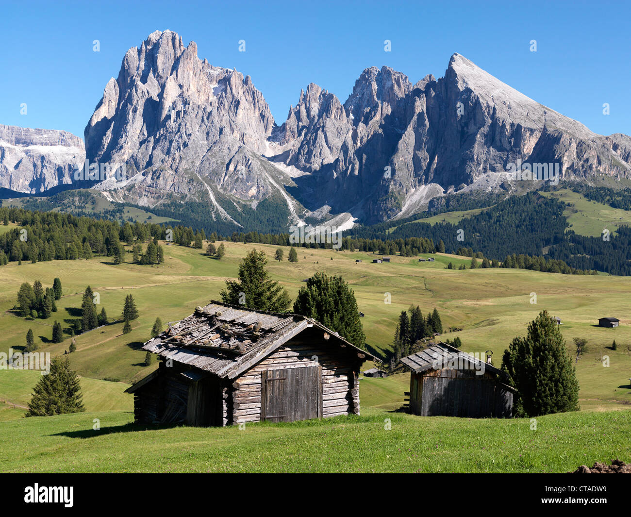 Tree top hut hi-res stock photography and images - Alamy