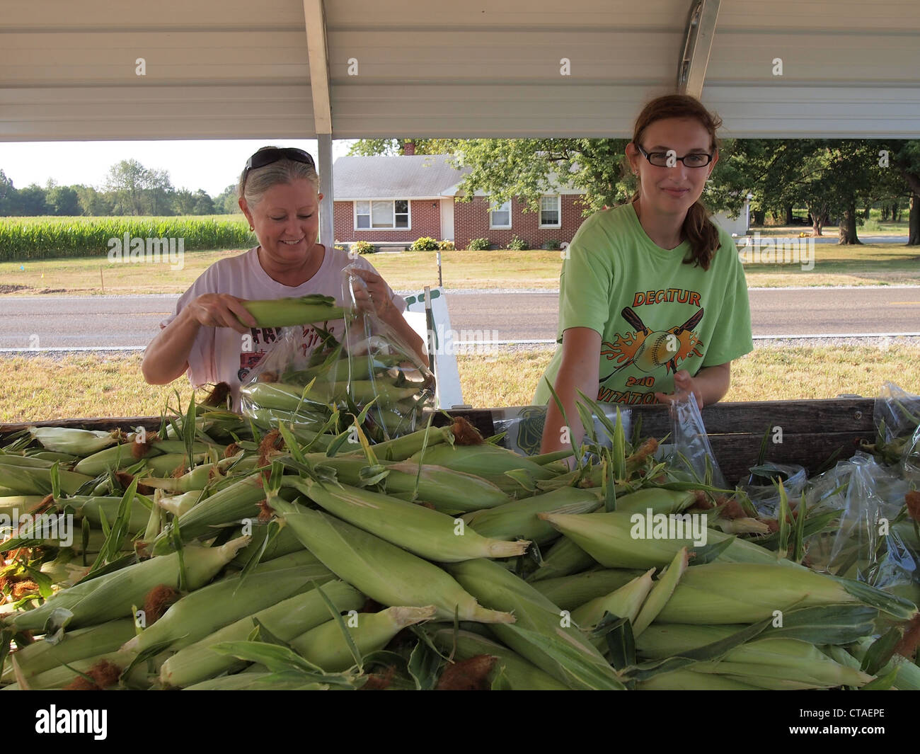 Fresh picked corn hi-res stock photography and images - Alamy